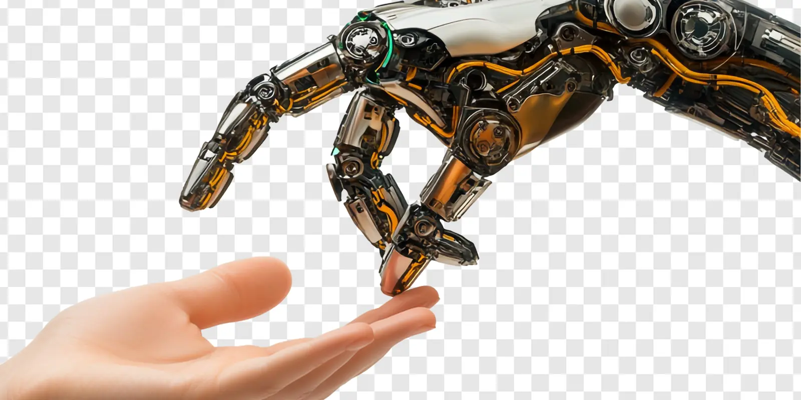 Scribe for Doctors | Physicians Angels